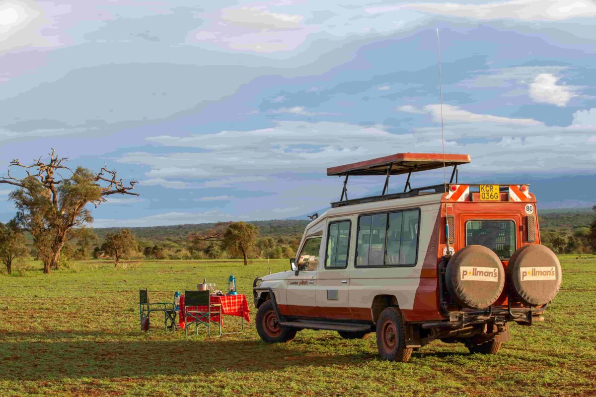 Dangote-backed Alterra Capital buys Pollman’s Tours as part of a $500m ...